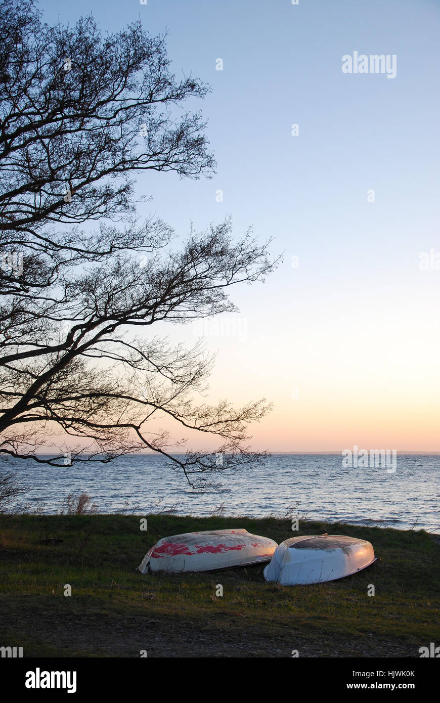 tree, horizon, sunset, water, baltic sea, salt water, sea, ocean, boat ...