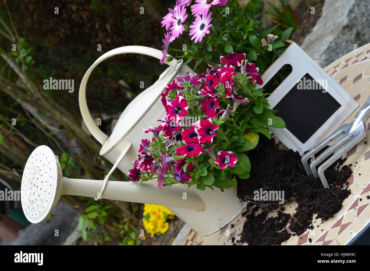 garden, plant, hobby, spring, gardens, work, job, labor, tool, garden ...