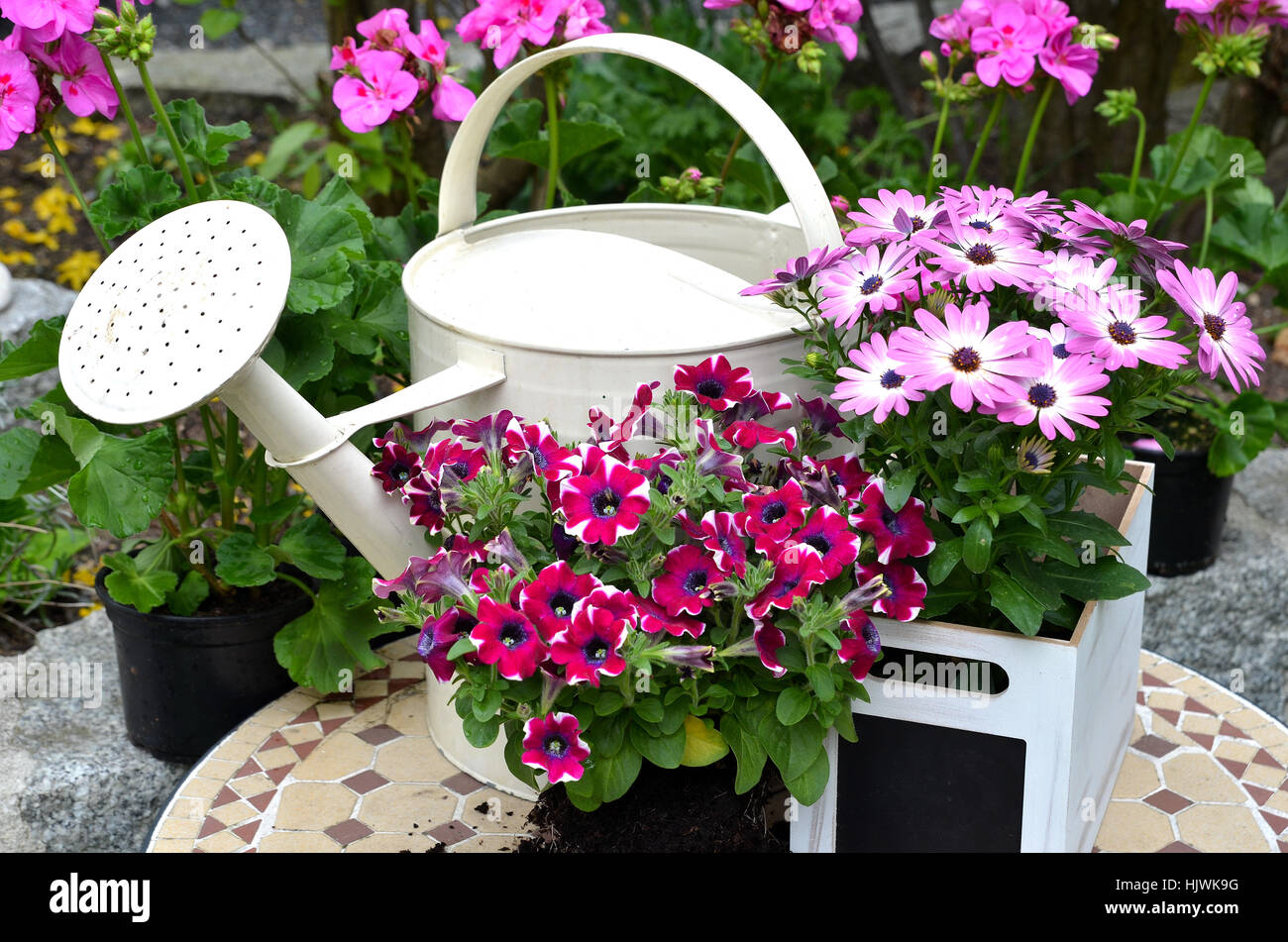 garden, plant, hobby, spring, gardens, work, job, labor, tool, garden ...