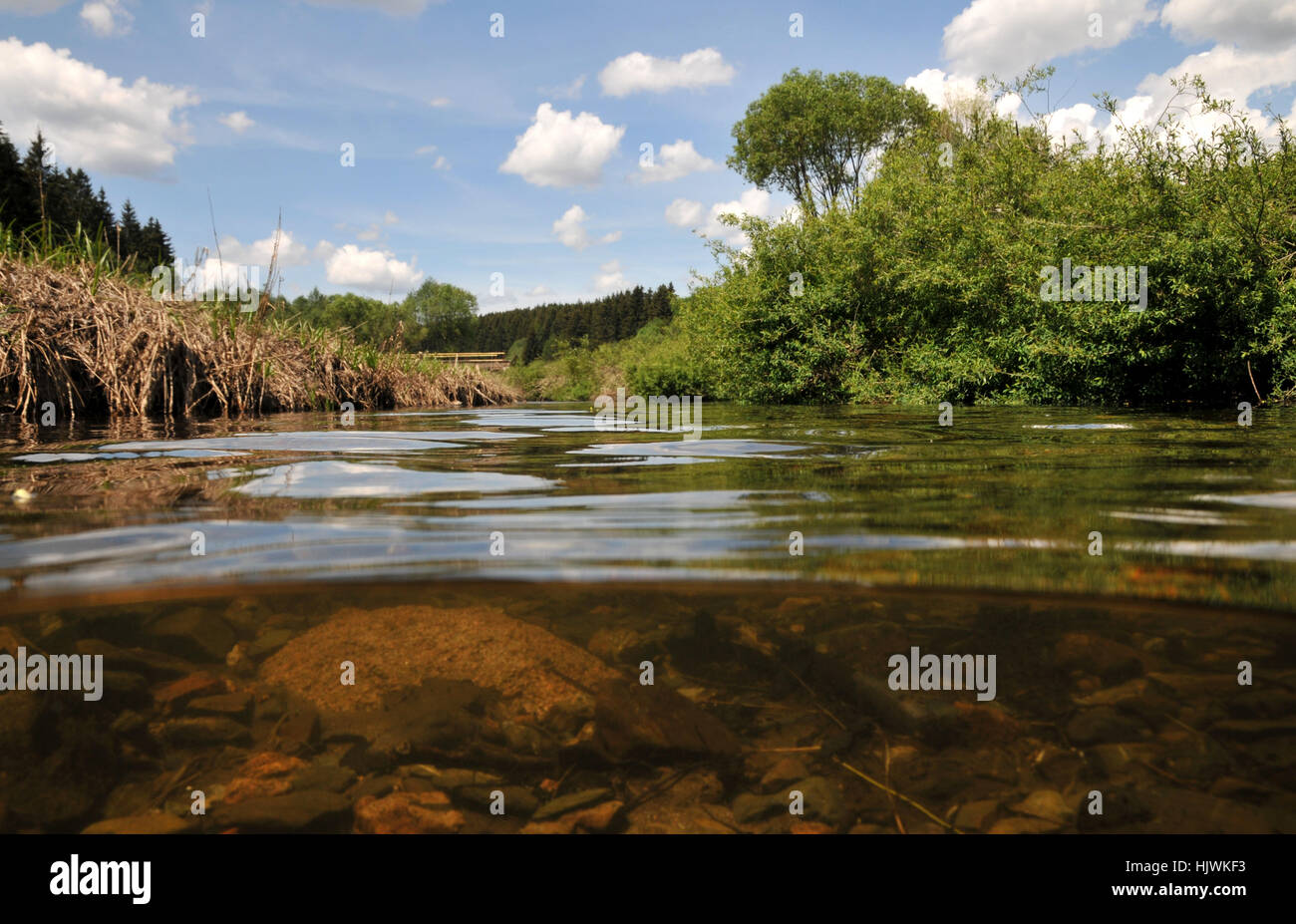 Streambed hi-res stock photography and images - Alamy