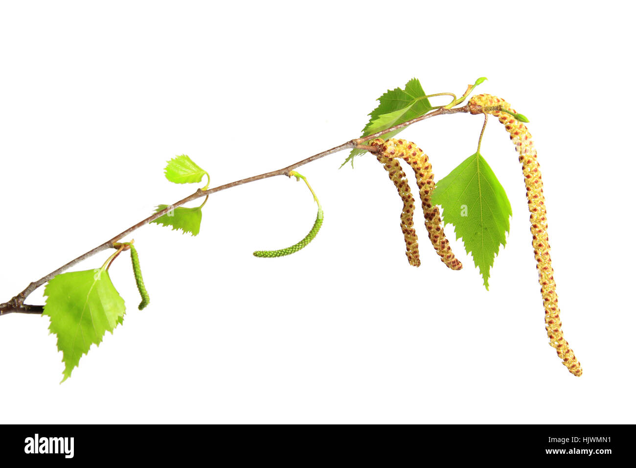 Across flowering hi-res stock photography and images - Alamy