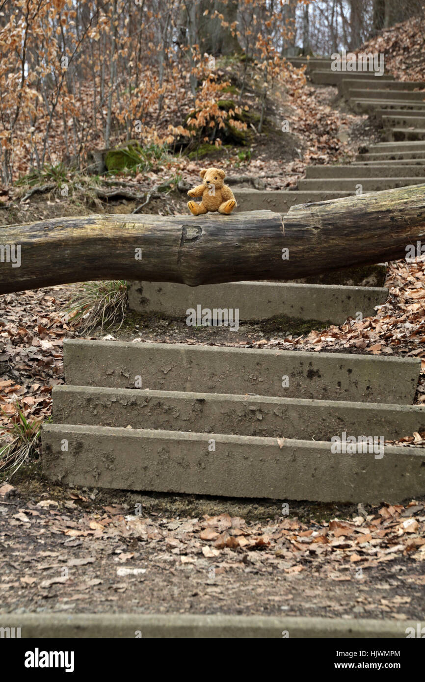 stairs, teddy bear, teddybear, steep, path, way, steps, stairs, teddy ...