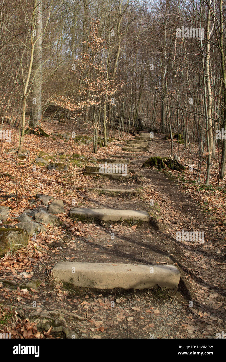 stairs, path, way, mountain, steps, stairs, lower saxony, path, way ...