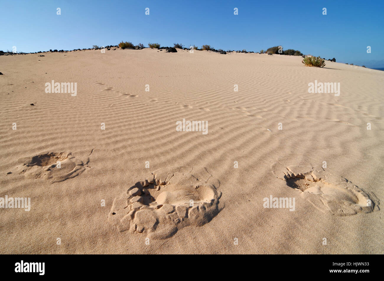 Step prints hi-res stock photography and images - Alamy