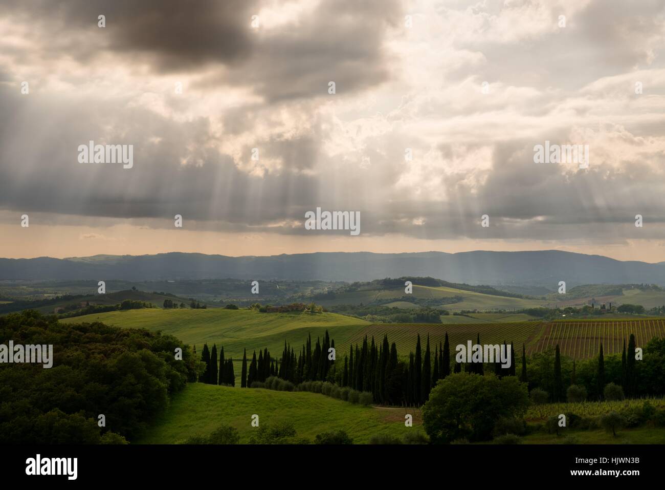 beautiful, beauteously, nice, environment, enviroment, tree, hill ...