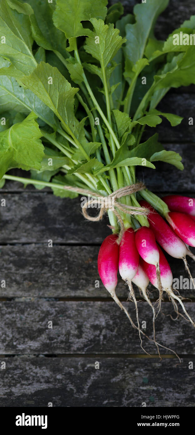 food, aliment, green, vegetable, radish, vegetarian, bunch, ingredient ...