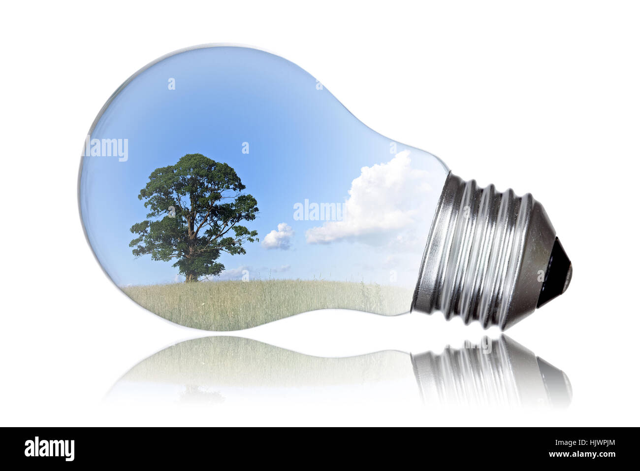 energy, power, electricity, electric power, bulb, lightbulb, ecology ...