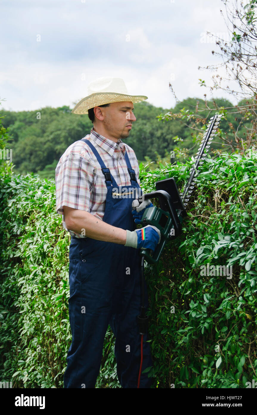 house, building, tool, spare time, free time, leisure, leisure time ...