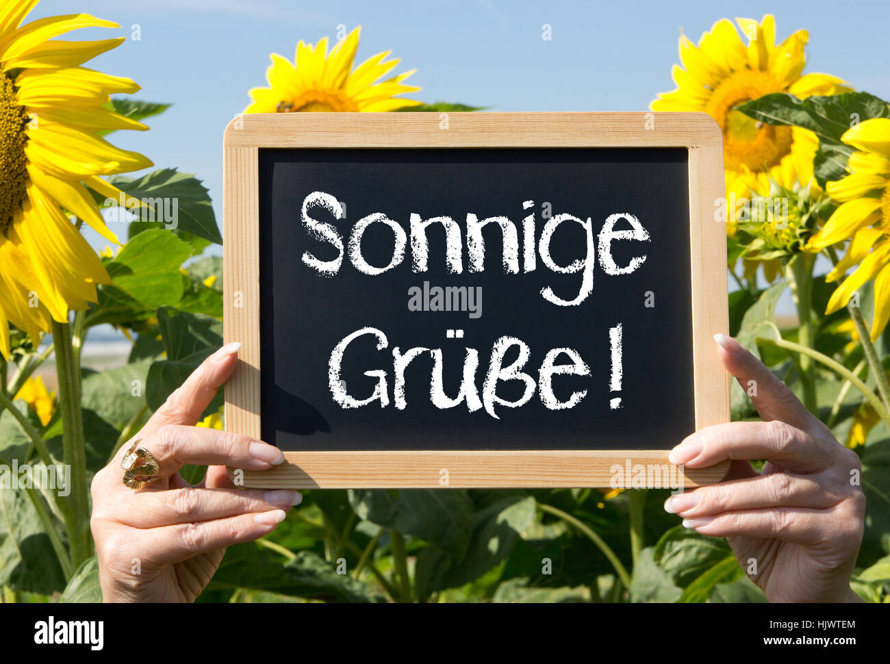 sign, signal, indicate, show, hand, hands, finger, travel, service ...