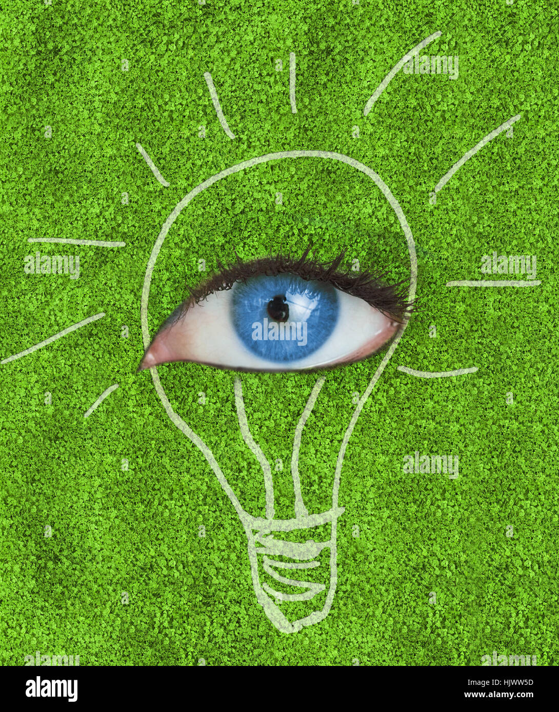 Blue eye surrounded by a drawing of a light bulb on grass texture Stock ...