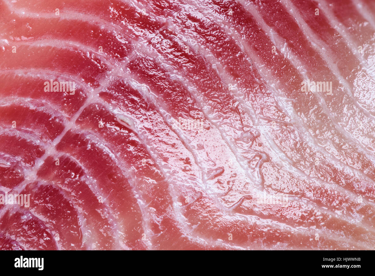 close up of tilapia fish fillet background texture Stock Photo - Alamy