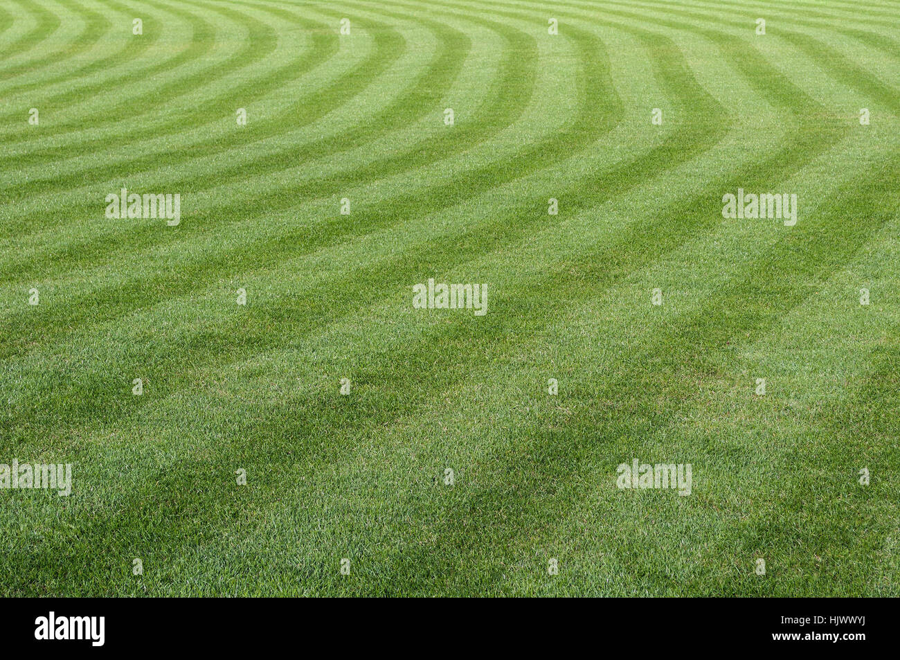 park, field, cut, pattern, golf, meadow, grass, lawn, green, park ...
