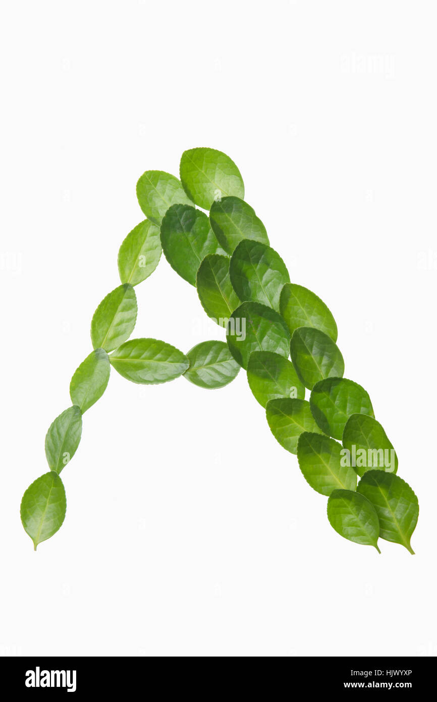 Script for a western hi-res stock photography and images - Alamy