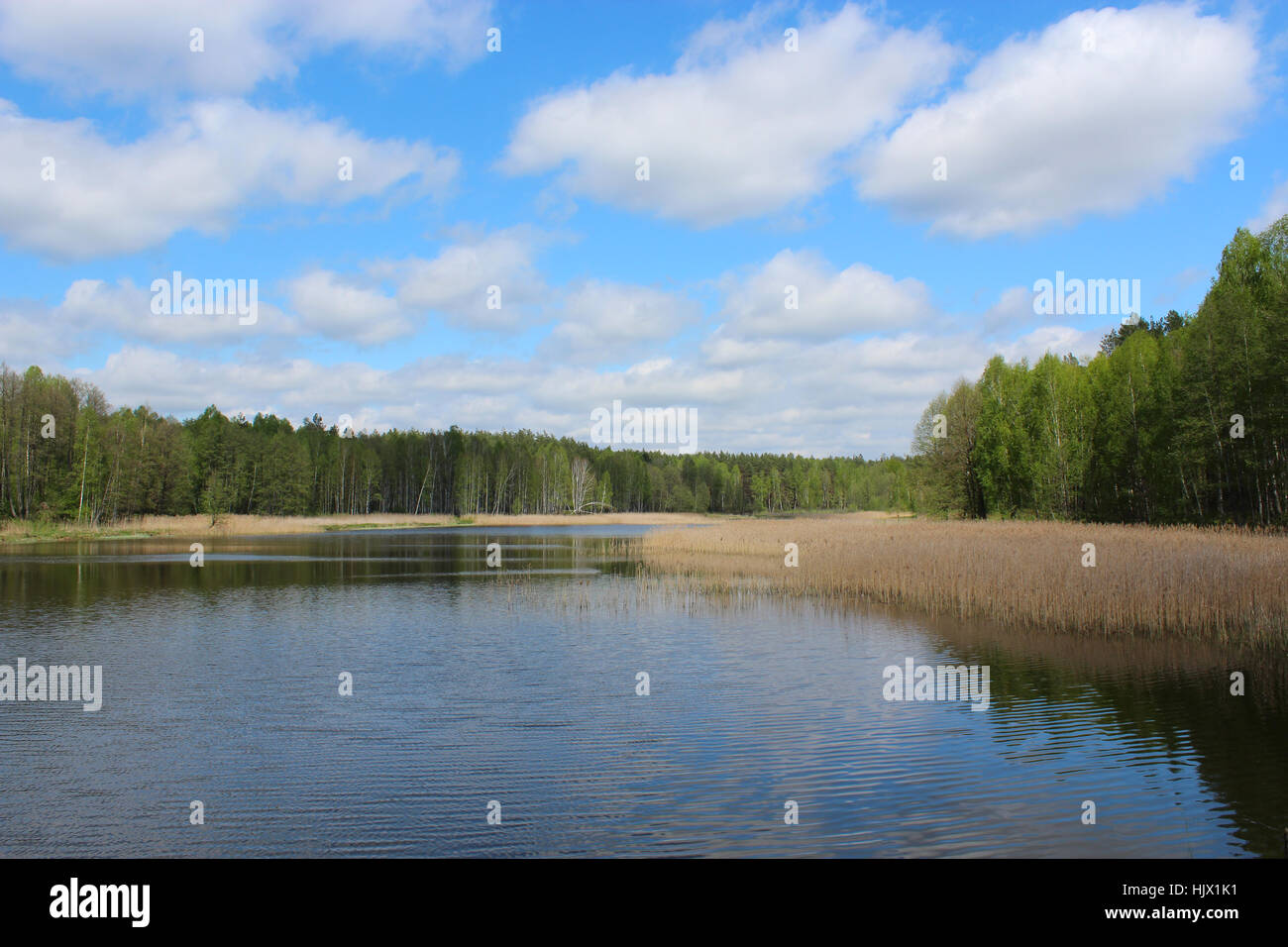summer, summerly, picturesque, fresh water, lake, inland water, water ...