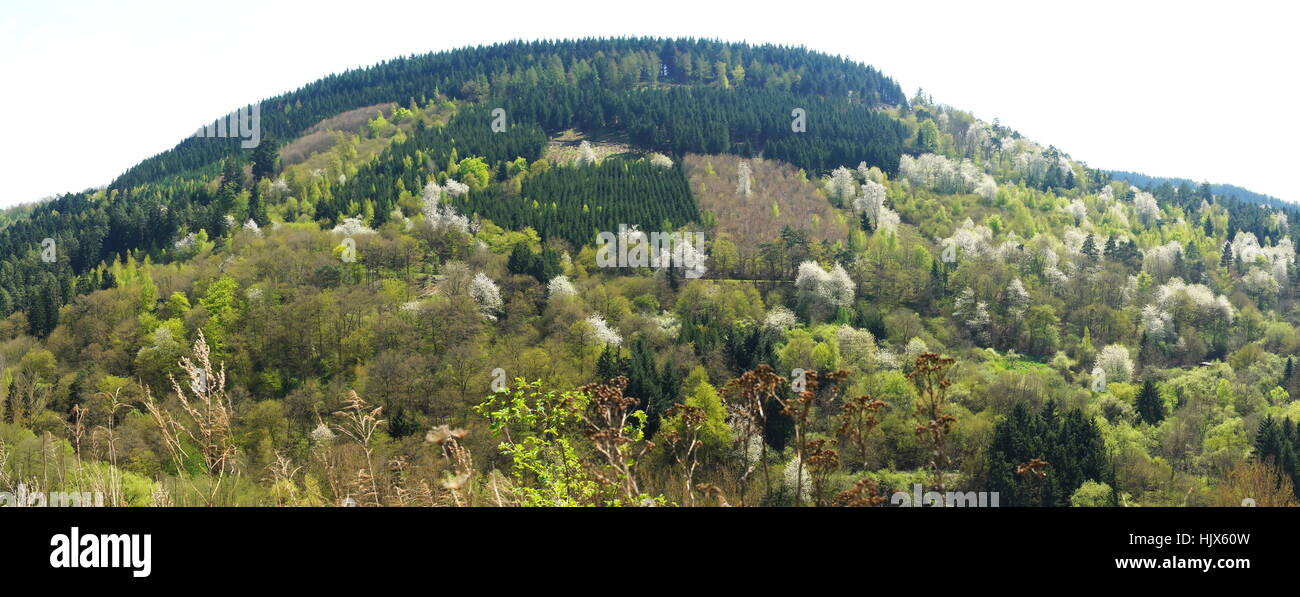 spring, ridge, mountain, scenery, countryside, nature, forest, tree ...
