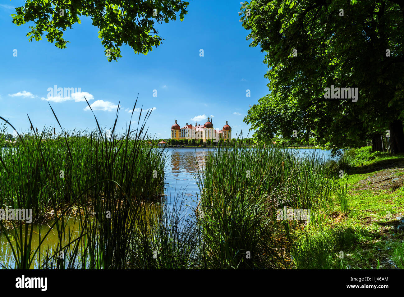 Otto blank hi-res stock photography and images - Alamy