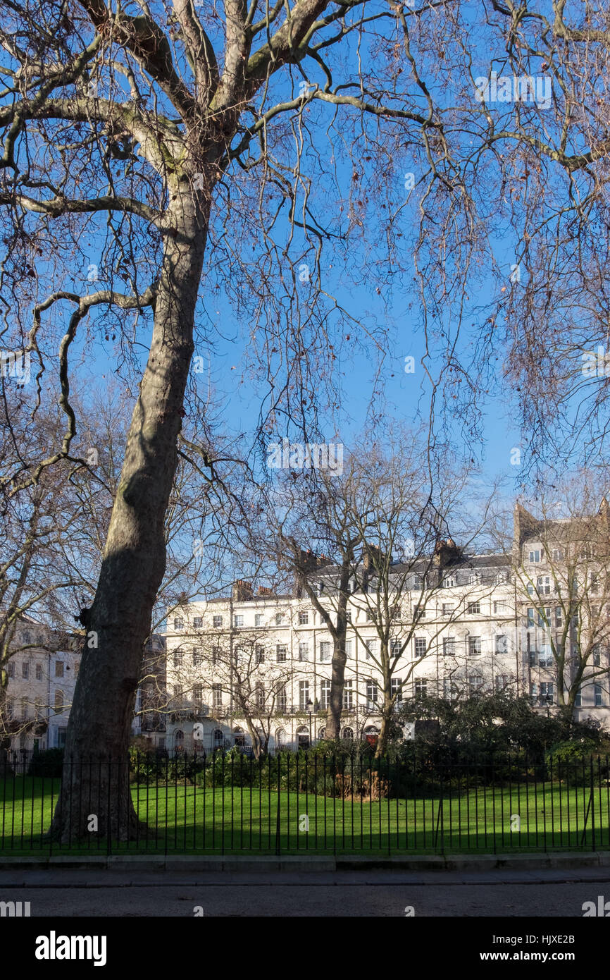 Fitzroy Square, Fitzrovia, London, UK Stock Photo - Alamy