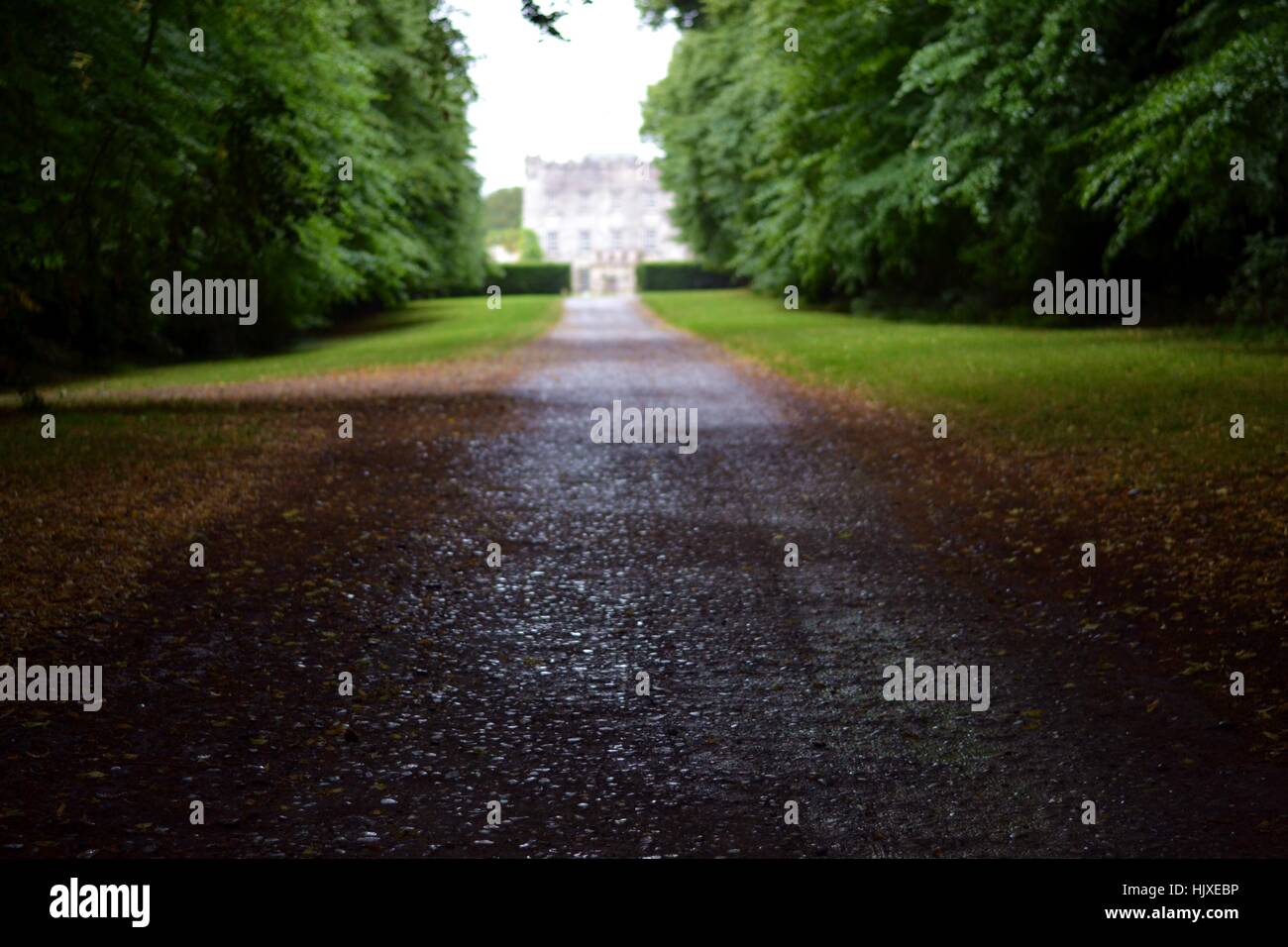 a road to the castle Stock Photo - Alamy