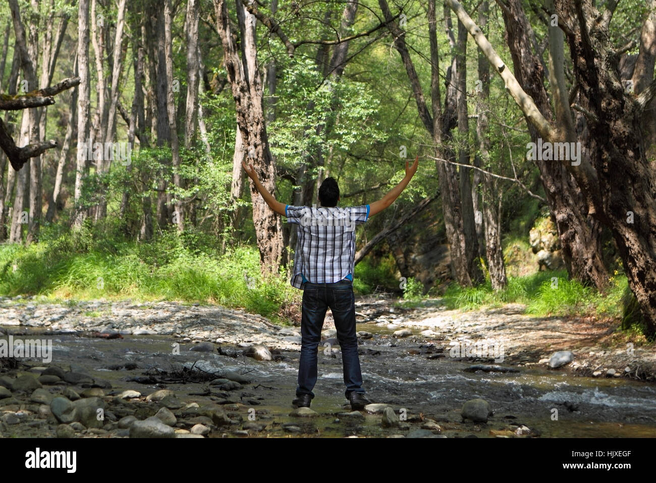 Man in Forest with Arms Lifted Up Stock Photo - Alamy