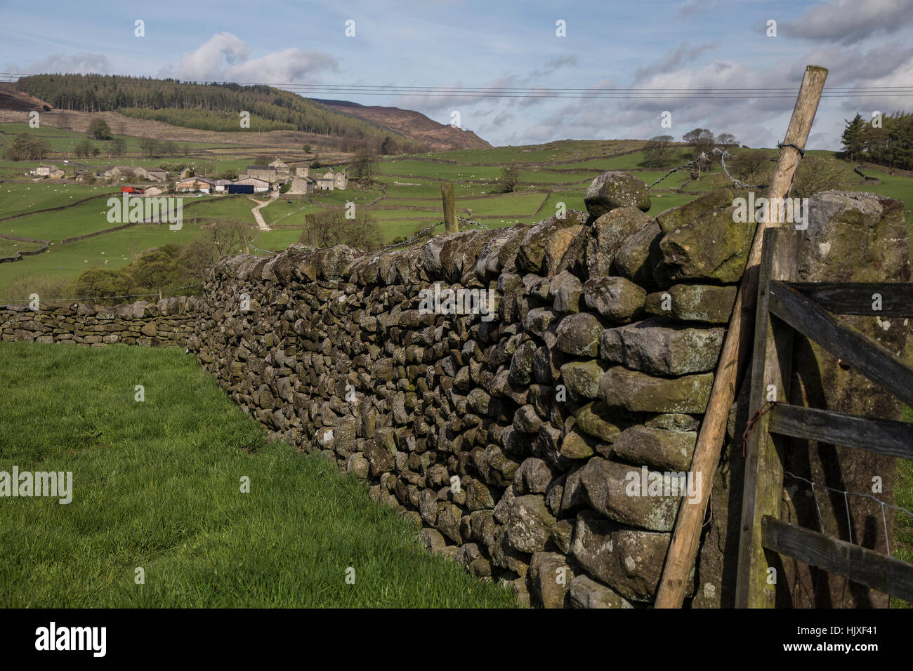 Dry stone walls in the Yorkshire Dales Stock Photo - Alamy