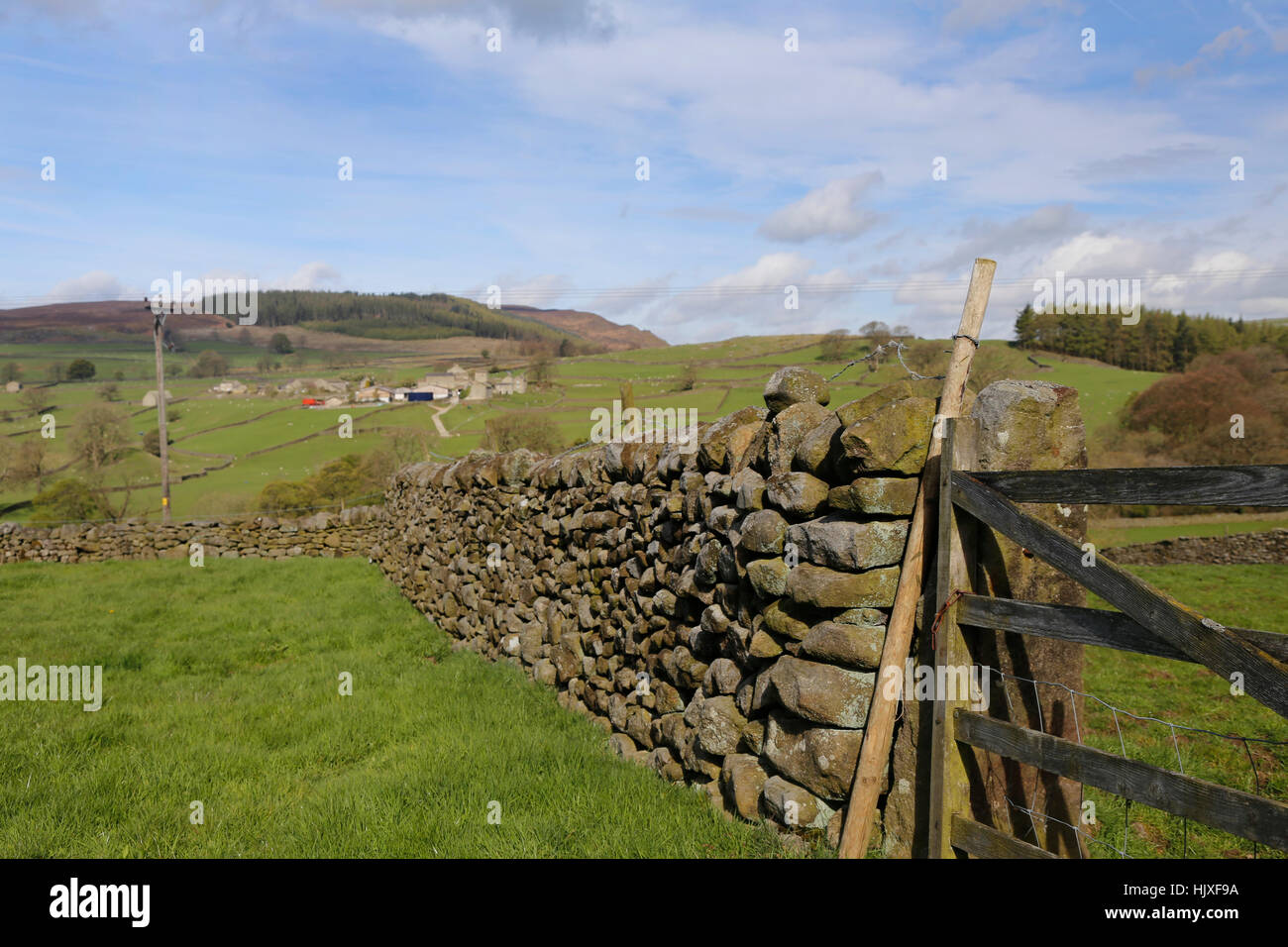 Dry stone walls in the Yorkshire Dales Stock Photo - Alamy