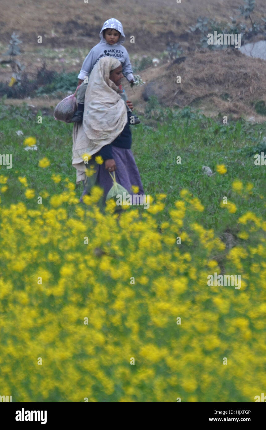 Lahore, Pakistan. 24th Jan, 2017. Pakistani people busy in their ...