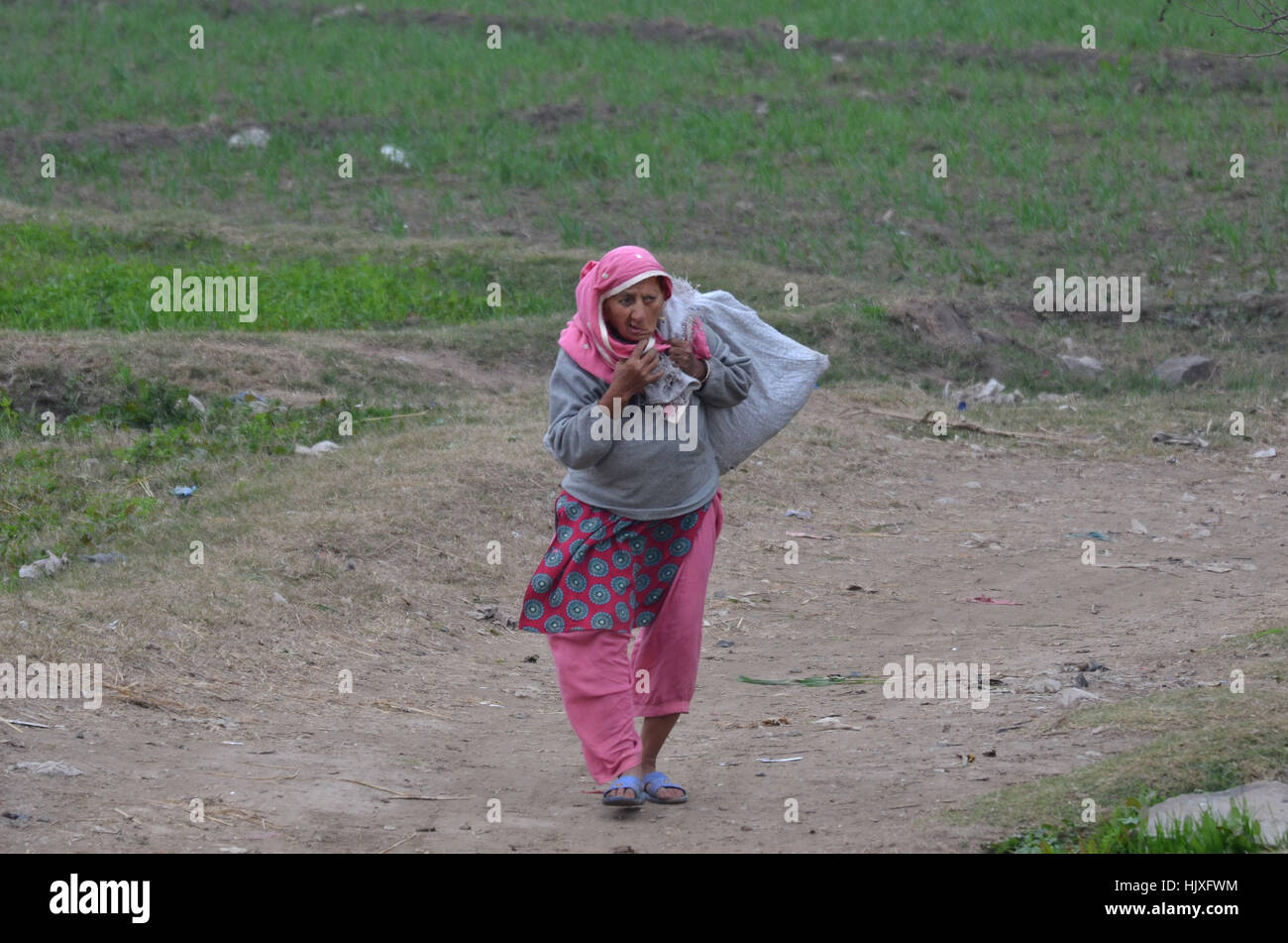 Lahore, Pakistan. 24th Jan, 2017. Pakistani people busy in their ...