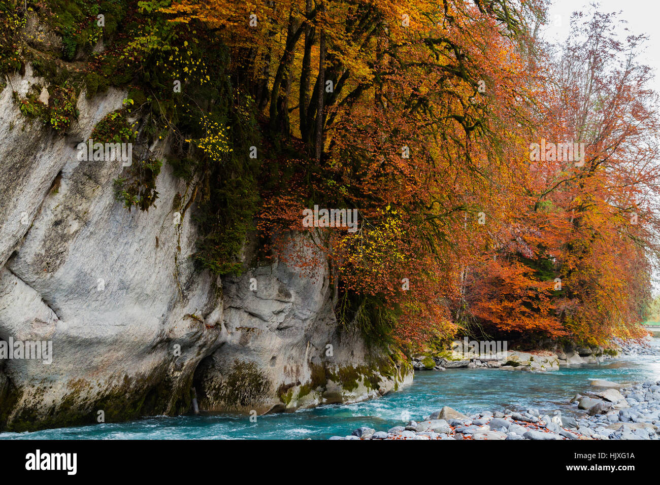 Blue river with vibrant autumn colors on the trees Stock Photo - Alamy
