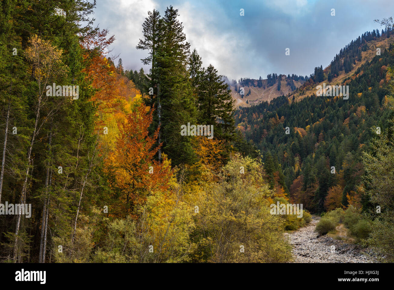 Autumn colors on the trees in the french alps Stock Photo - Alamy