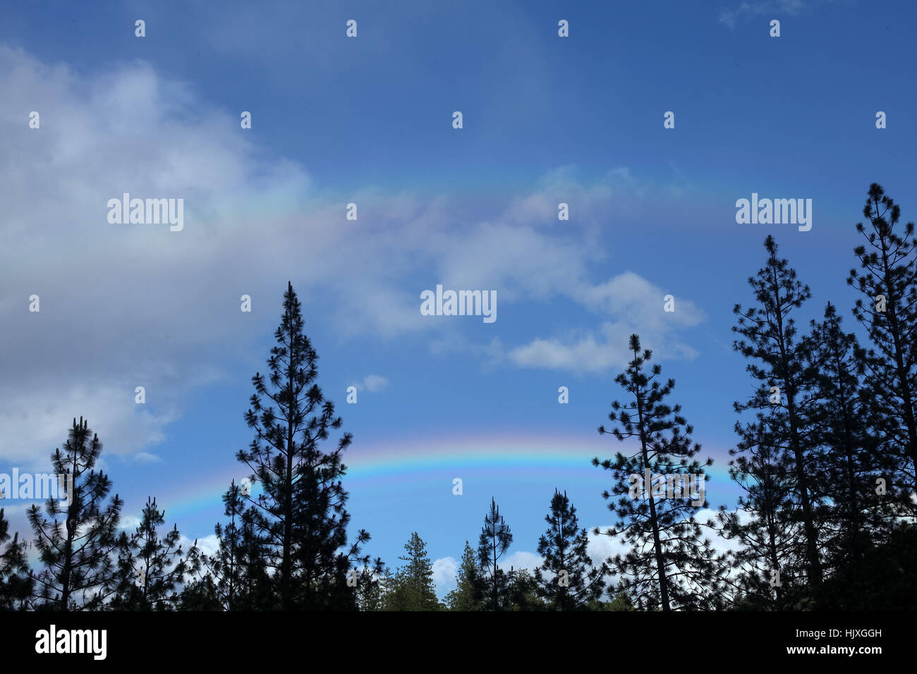 A double rainbow appears behind the trees. Oregon, Ashland, Cascade ...