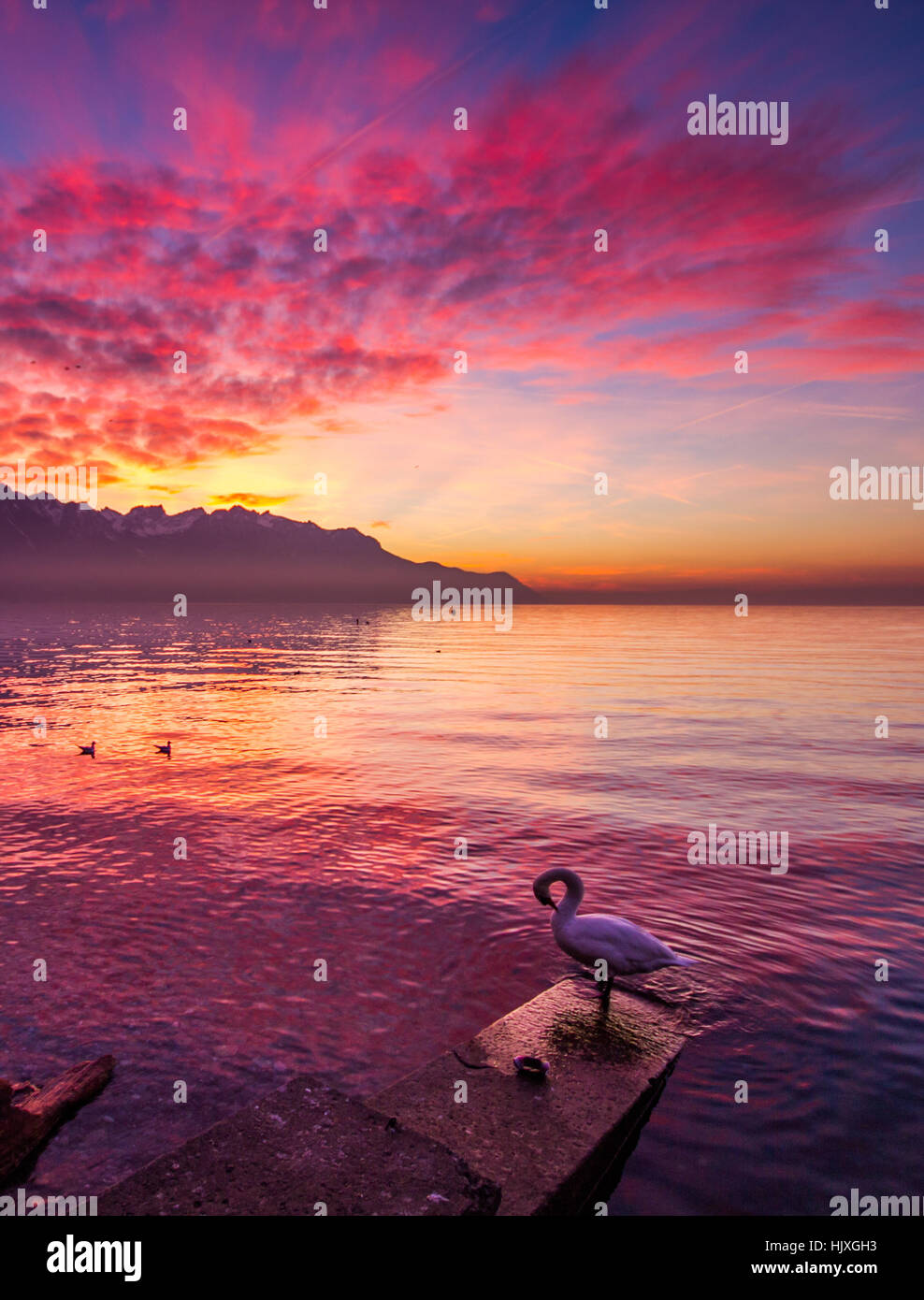 Lake Geneva with a sunset over the French alps Stock Photo - Alamy