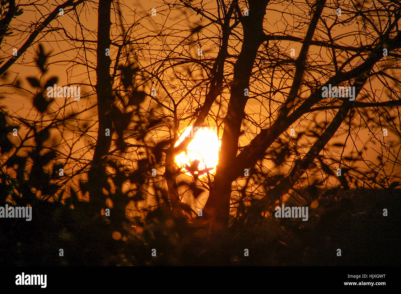 African sunset hi-res stock photography and images - Alamy