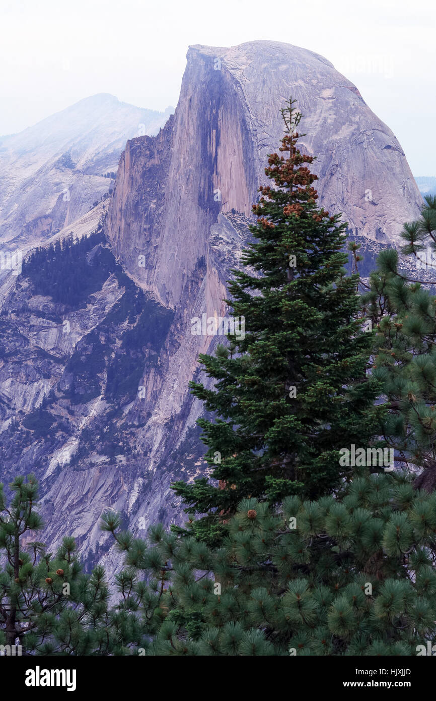 Half Dome alpenglow, California, Yosemite National Park. Taken 10.13 ...