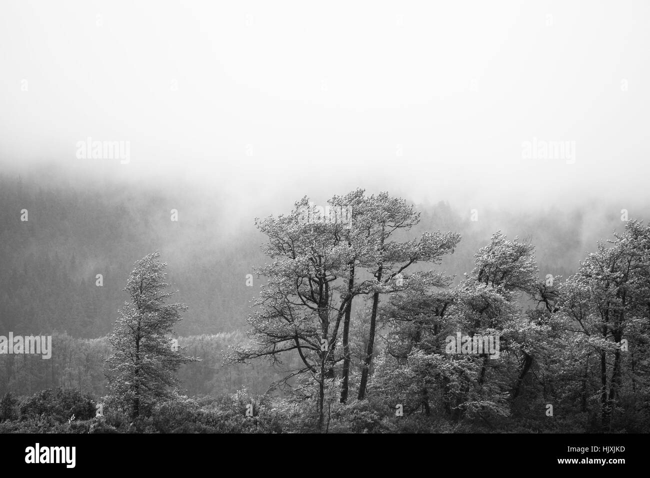 Low fog Black and White Stock Photos & Images - Alamy
