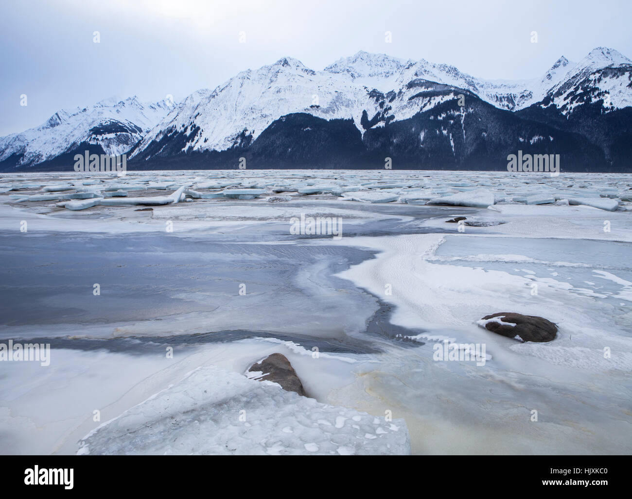 Ice on the Chilkat inlet near Haines in Southeast Alaska in winter ...