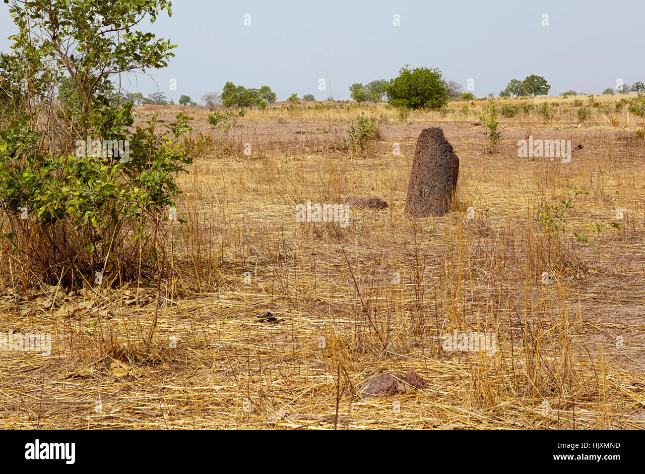 Lamin Koto Stone Circles, UNESCO World Heritage Site, the Gambia ...