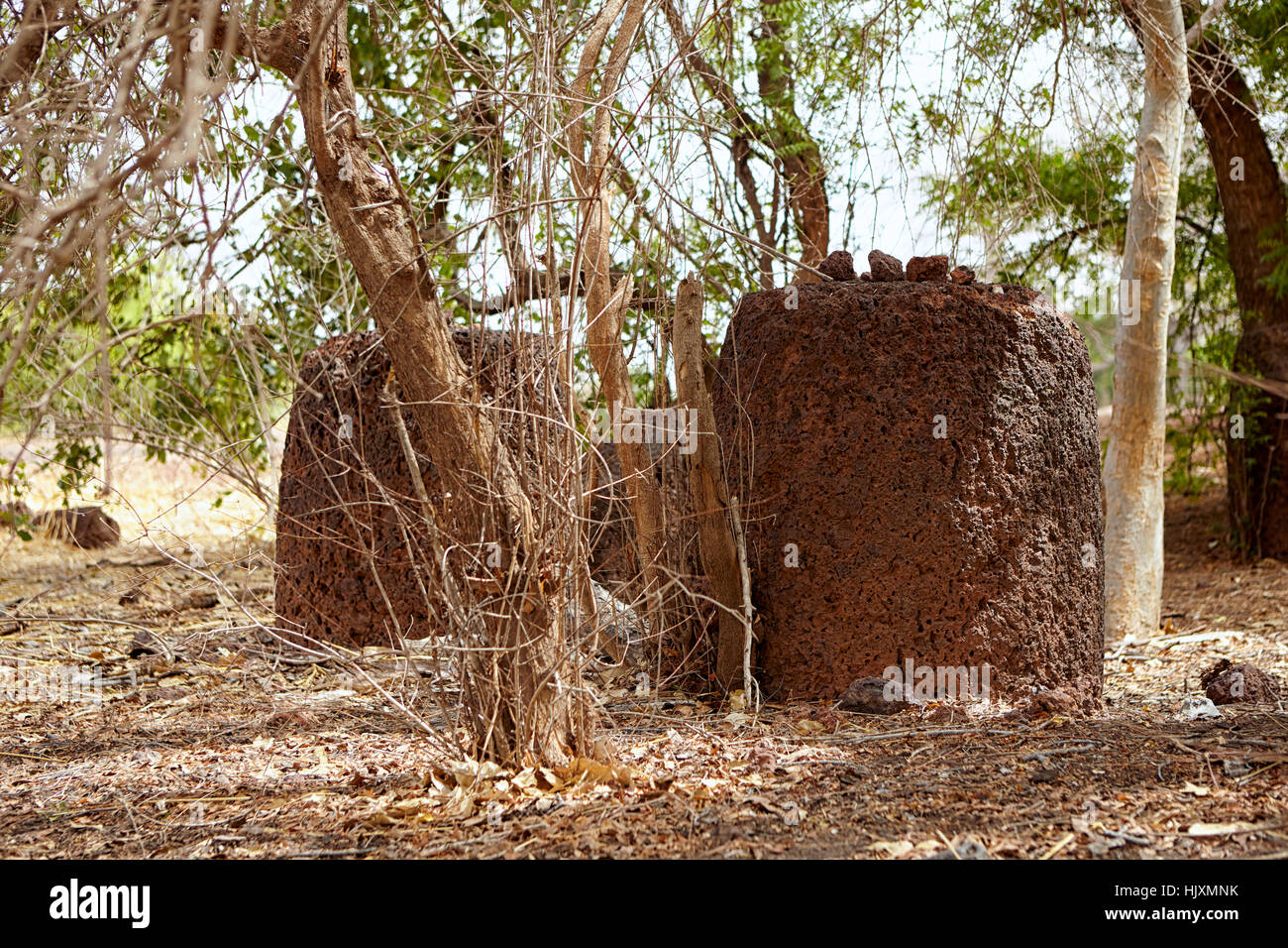 Lamin Koto Stone Circles, UNESCO World Heritage Site, the Gambia ...