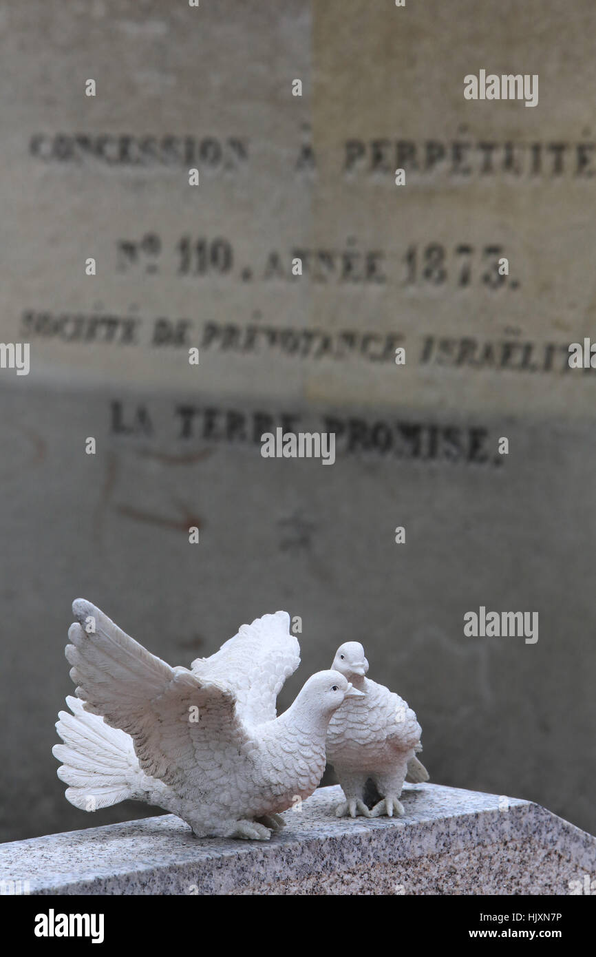 Couple de colombes sur une pierre tombale Stock Photo - Alamy