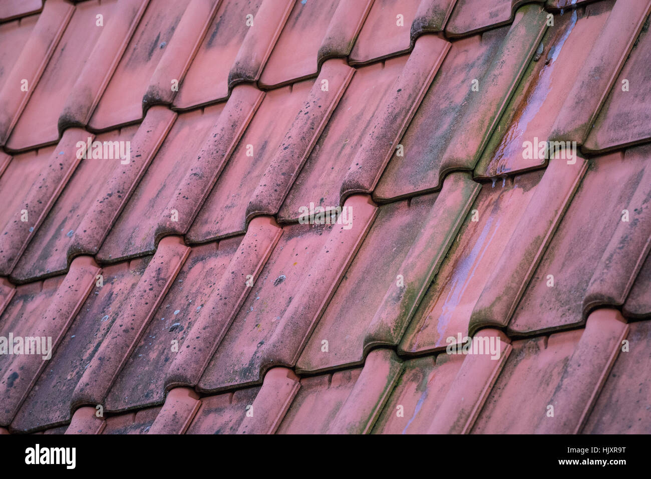 Violet tile roof with diagonal alignment Stock Photo - Alamy