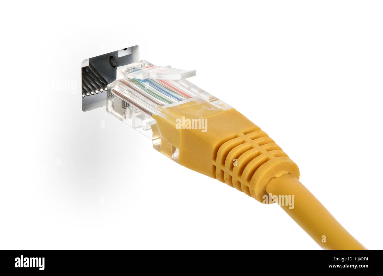 network cable isolated on white background. Macro Stock Photo - Alamy