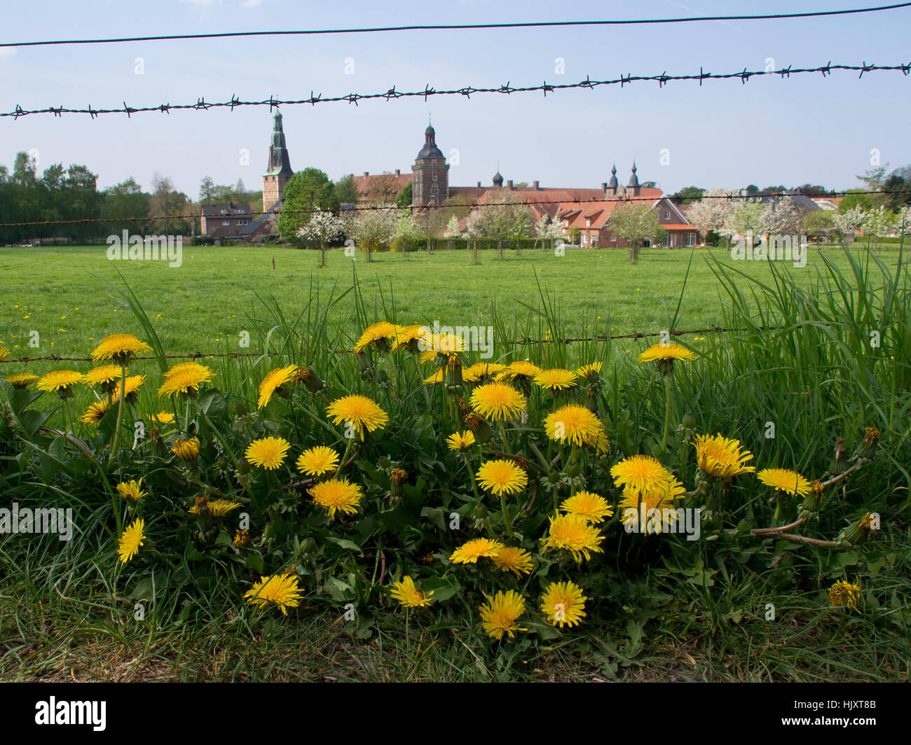tower, park, tower, tree, trees, park, spring, towers, chateau, castle ...