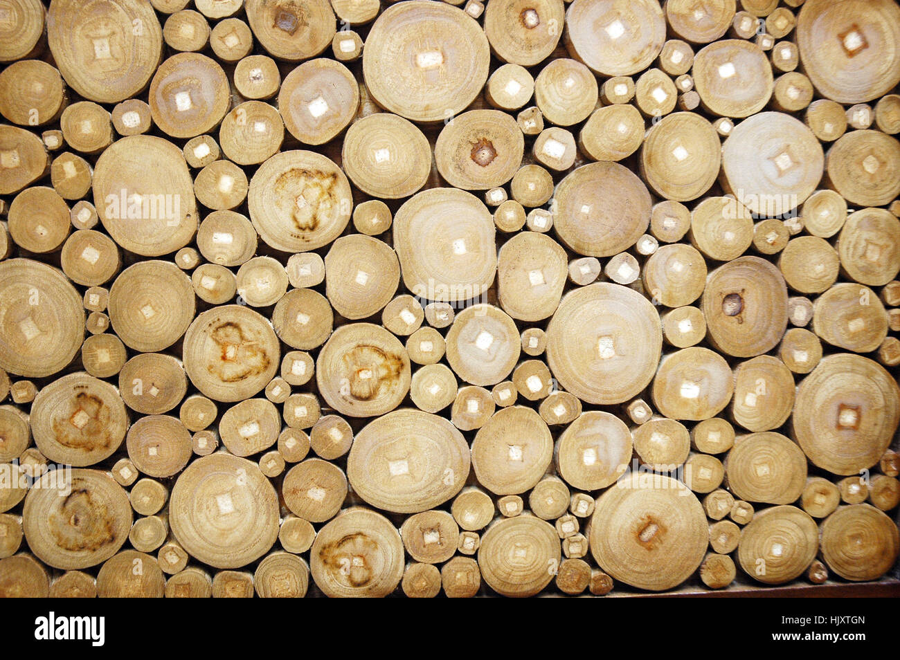 tree, wood, cut, timber, stack, log, heap, pile, environment ...