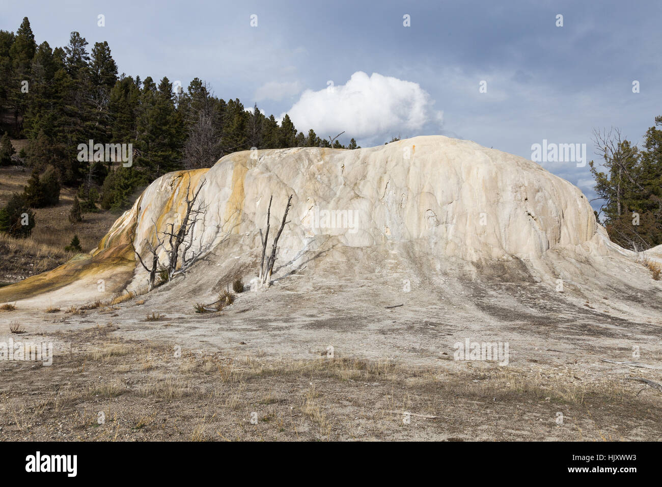 The Orange Spring Mound in Yellowstone National Park Stock Photo - Alamy