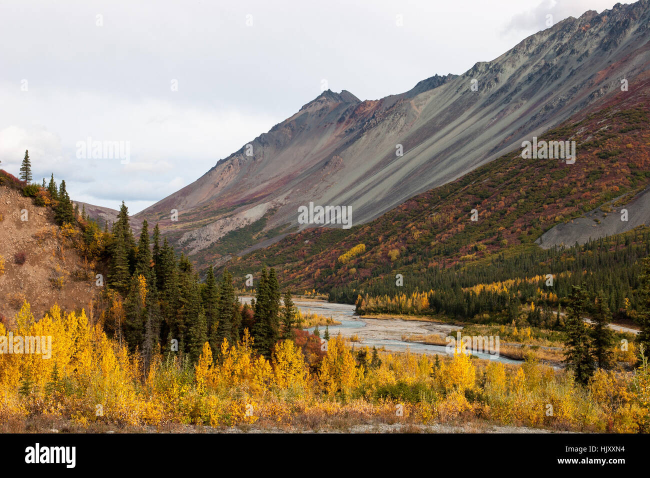 alpine, hiking, tundra, landscape, scenery, countryside, nature, alaska ...