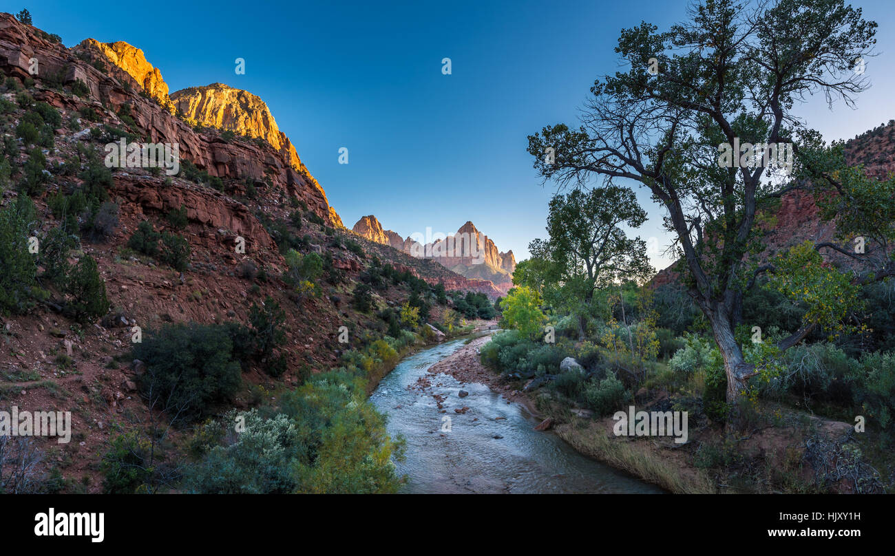 Zion fall colors utah hi-res stock photography and images - Alamy