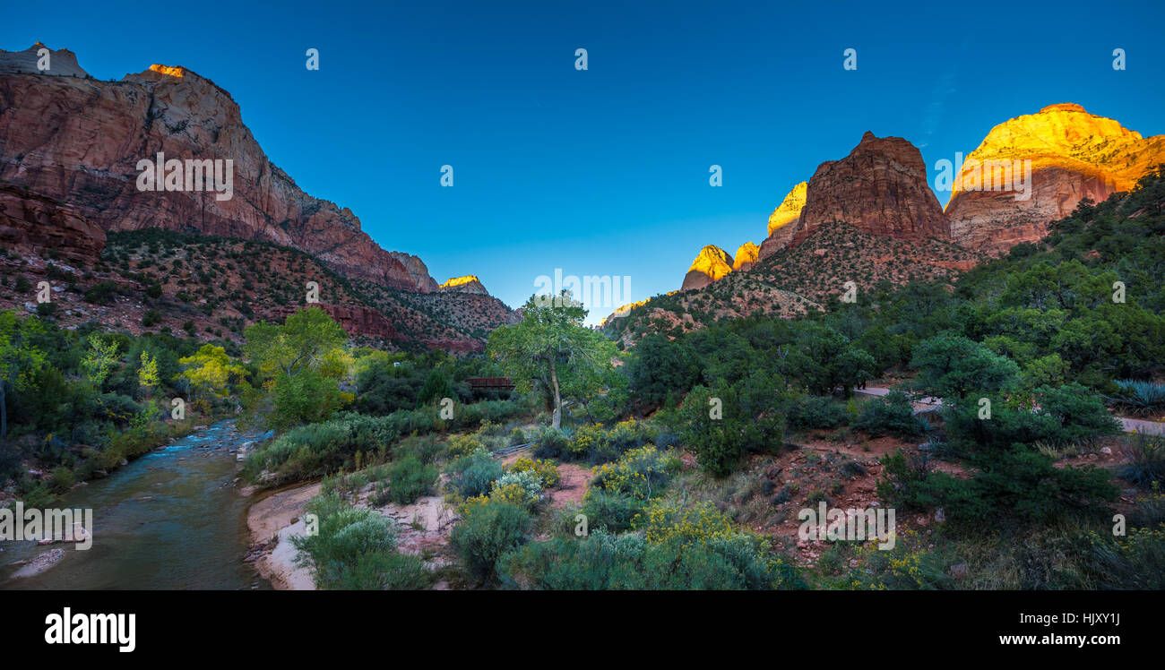 Zion National Park Fall Colors at Sunset Stock Photo - Alamy