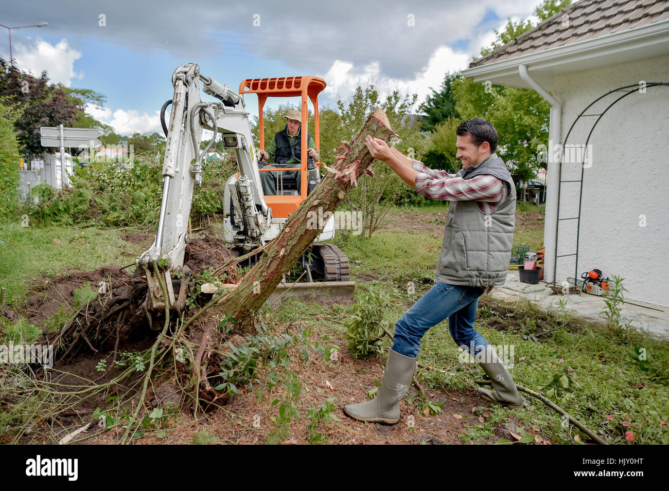 Removing a tree from a garden Stock Photo - Alamy
