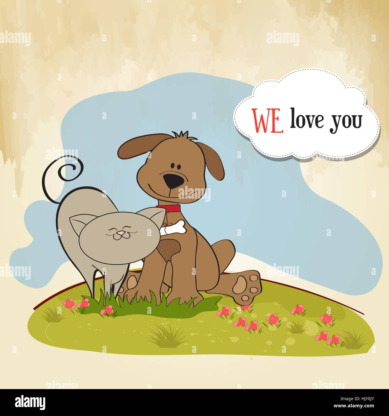 isolated, dog, chase, pussycat, cat, domestic cat, enthusiasm ...