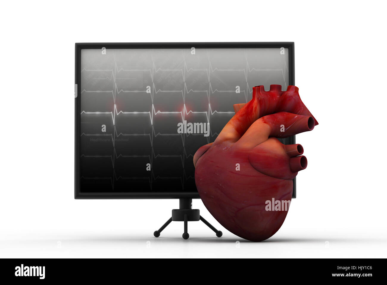Human heart with ECG heart beat monitor Stock Photo - Alamy