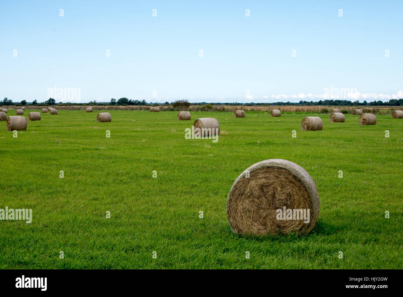 rolls of hay in green field in country Stock Photo - Alamy